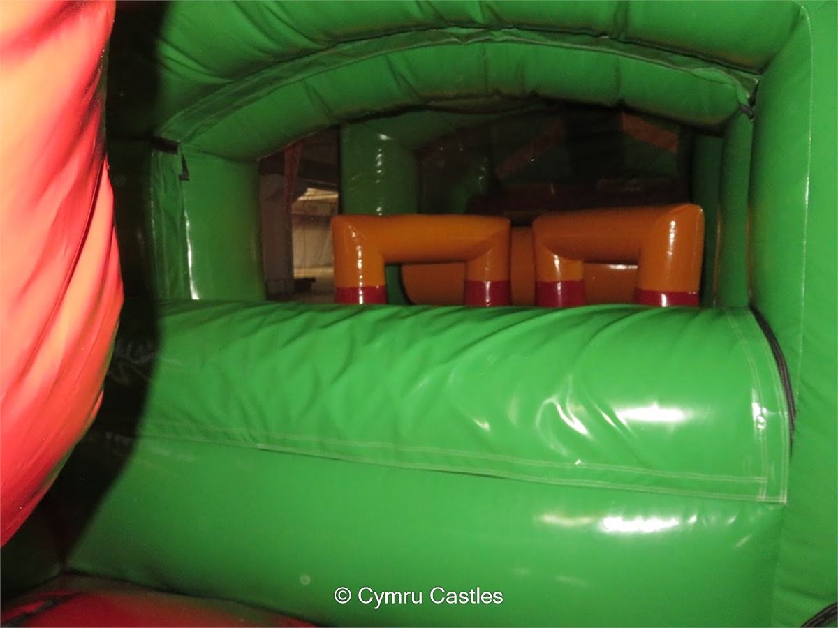 Lizard Inflatable Obstacle Course - Bouncy Castle Hire in Ceredigion ...