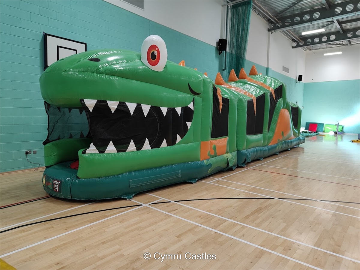 Lizard Inflatable Obstacle Course - Bouncy Castle Hire in Ceredigion ...
