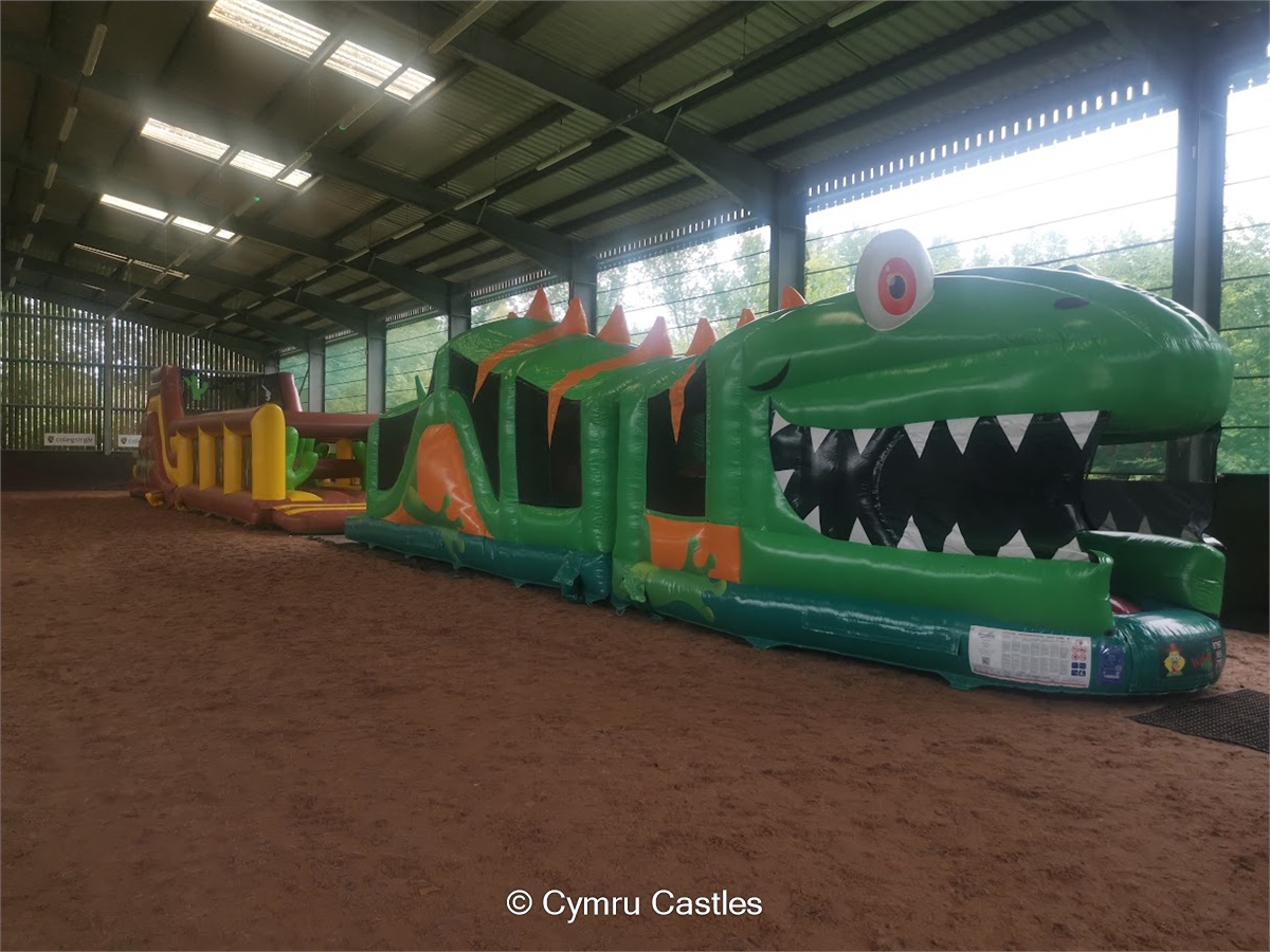Lizard Inflatable Obstacle Course - Bouncy Castle Hire in Ceredigion ...