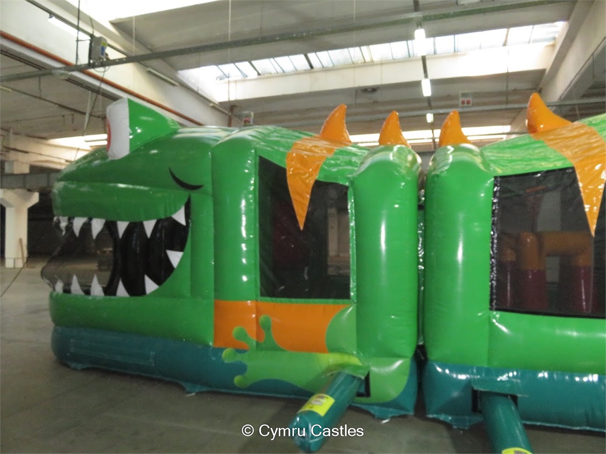 Lizard Inflatable Obstacle Course - Bouncy Castle Hire in Ceredigion ...