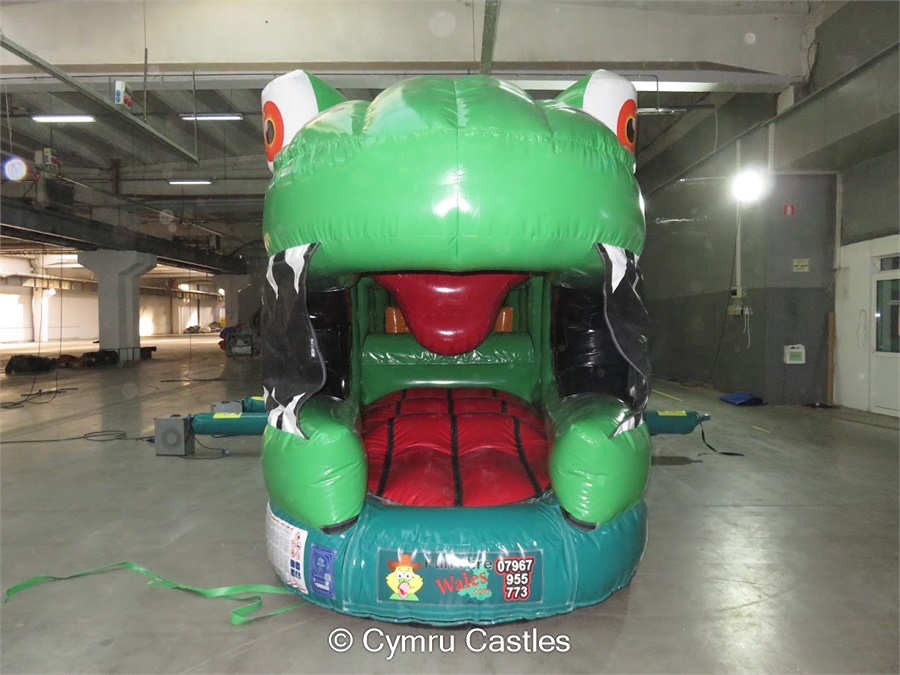 Lizard Inflatable Obstacle Course - Bouncy Castle Hire in Ceredigion ...