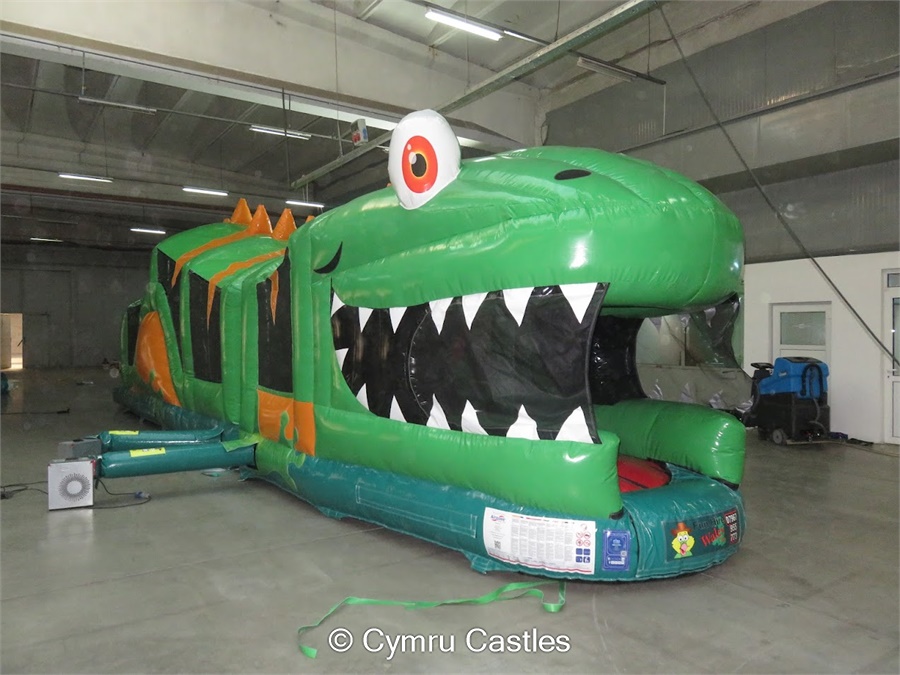 Lizard Inflatable Obstacle Course - Bouncy Castle Hire in Ceredigion ...